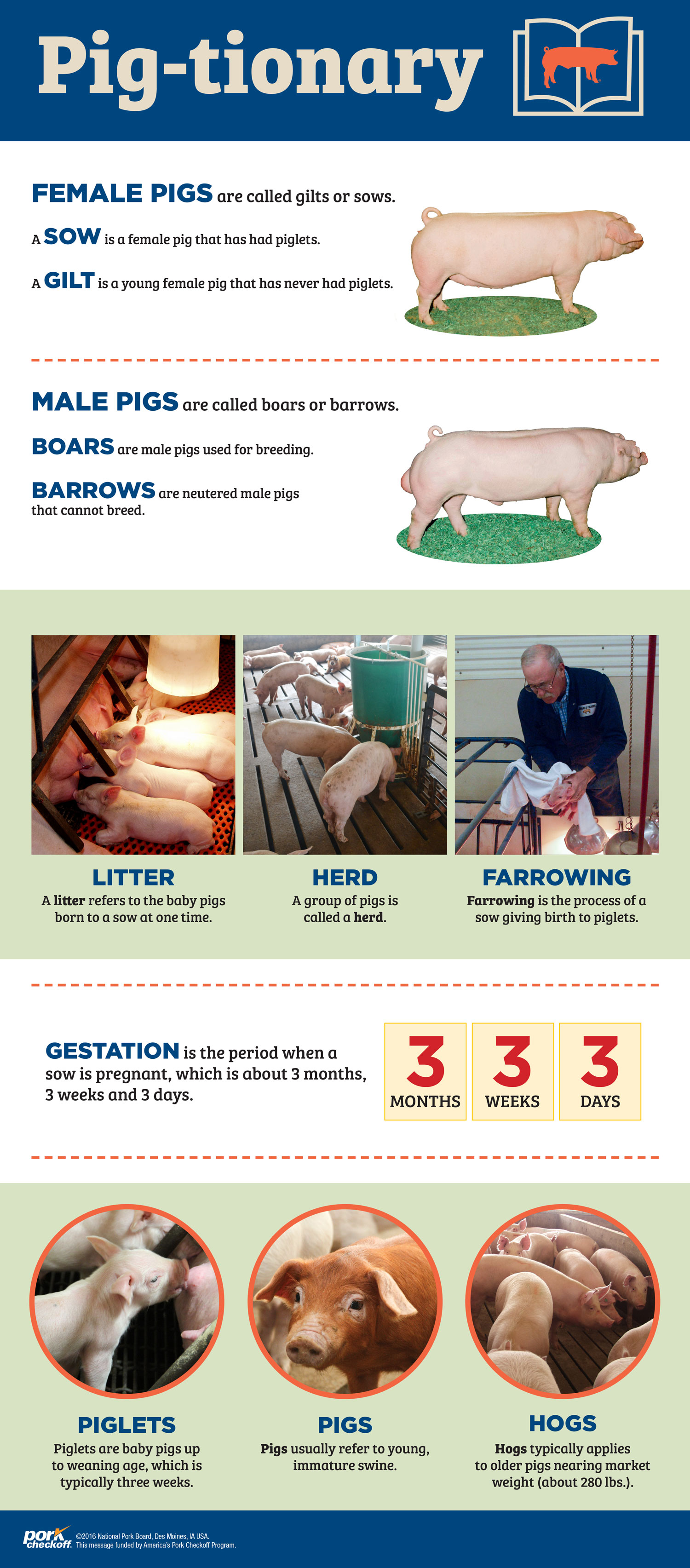 Pig-tionary - Pork Checkoff